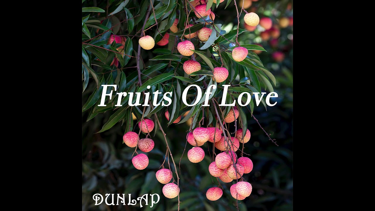 'OFFICIAL' Fruits Of Love DUNLAP - YouTube