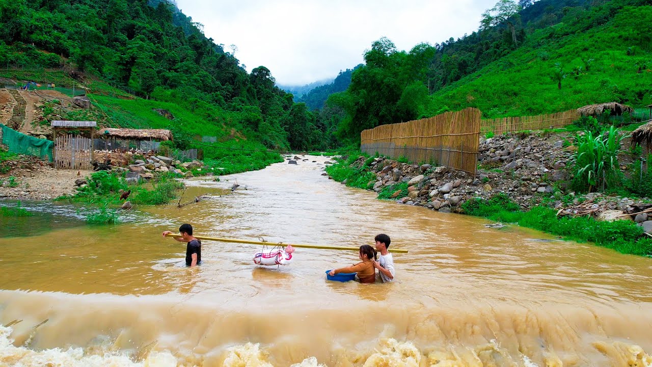 The farm is flooded - Animal Rescue During Natural Disasters - Sang Vy ...