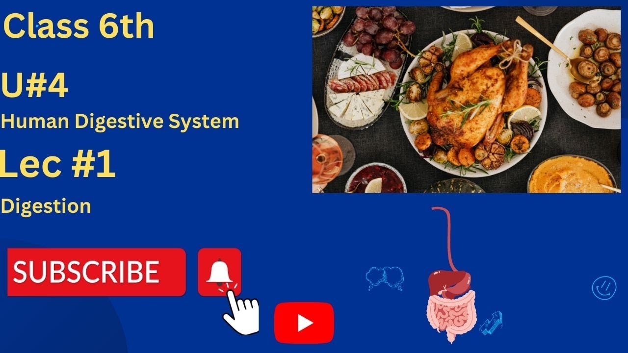 Class 6th Science U#4 Human Digestive System lec # 1 Digestion - YouTube
