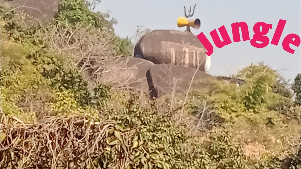 @SpreadingGyanOfficial . जंगल सफर. Jungle safari. panna forest ...