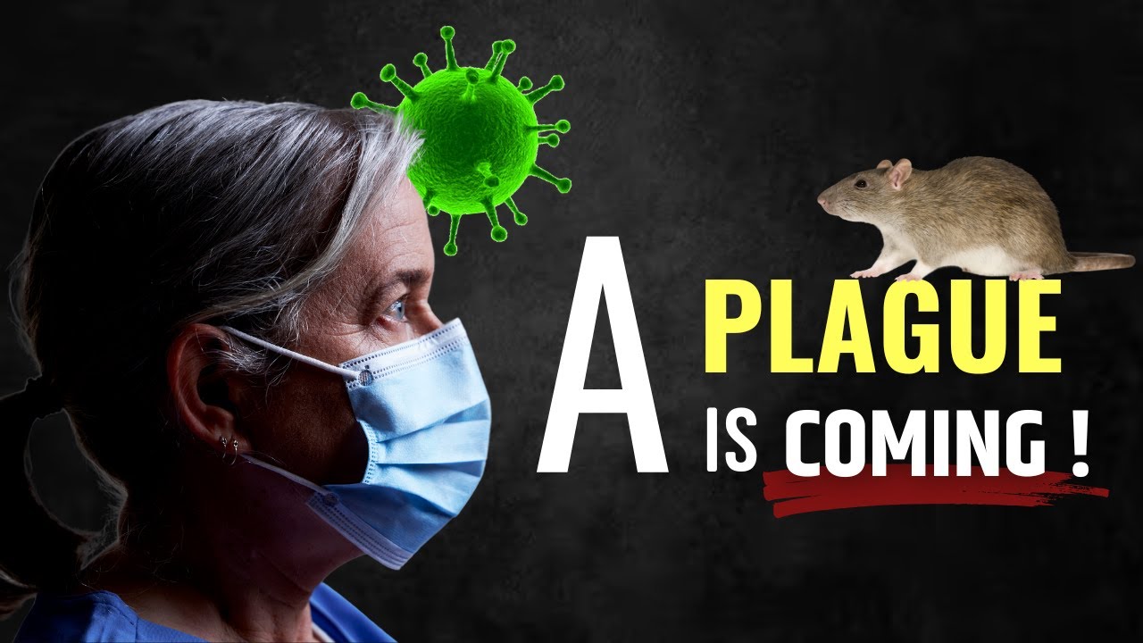 Our Lady: A Plague of Rats is coming to several countries, Prepare ...