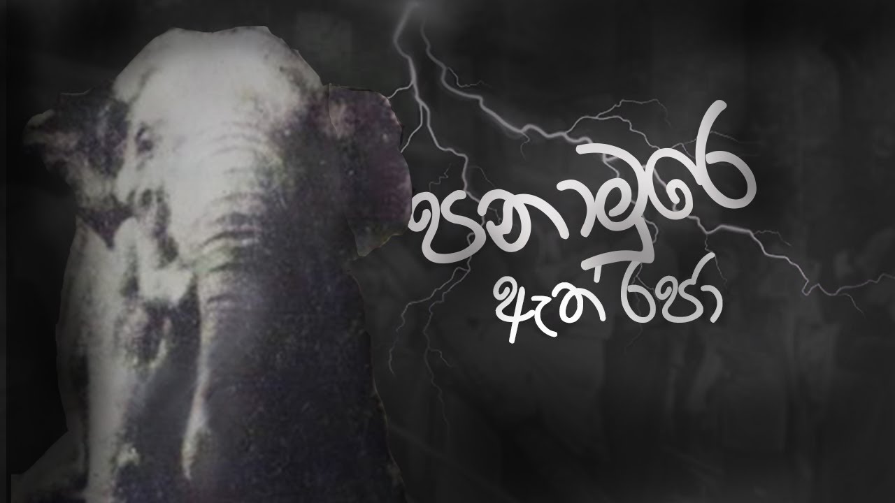 Panamure Ath Raja - පනාමුරේ ඇත් රාජයාගේ සමිපූර්ණ කතාව - YouTube