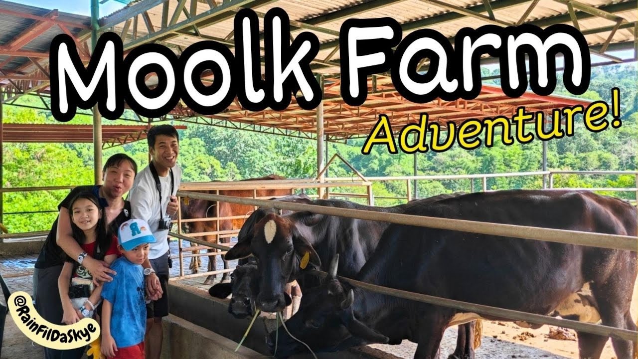 Family Day at Moolk Farm Tanay - YouTube
