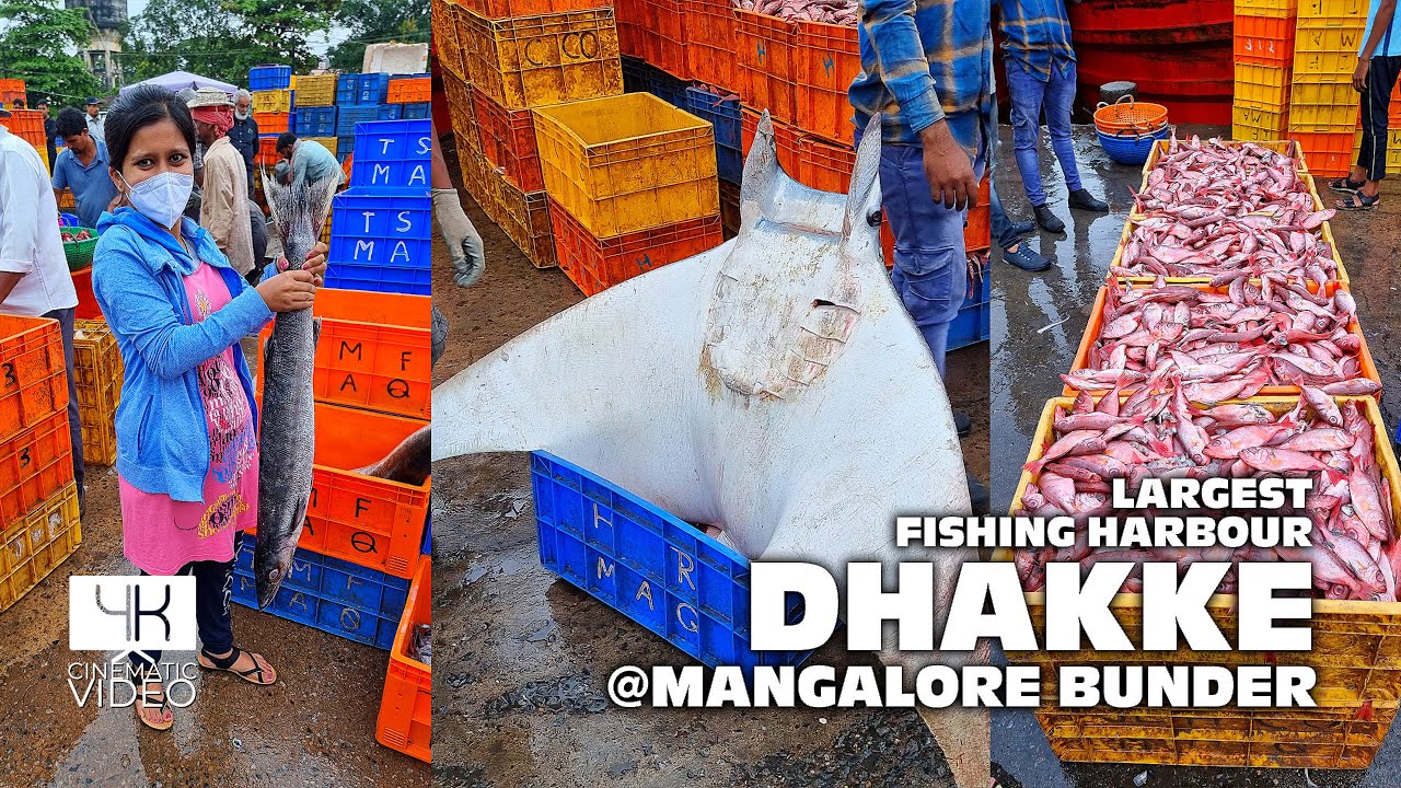 Mangalore’s LARGEST SEAFOOD MARKET | Mangalore BUNDER | Dhakke Fishing ...