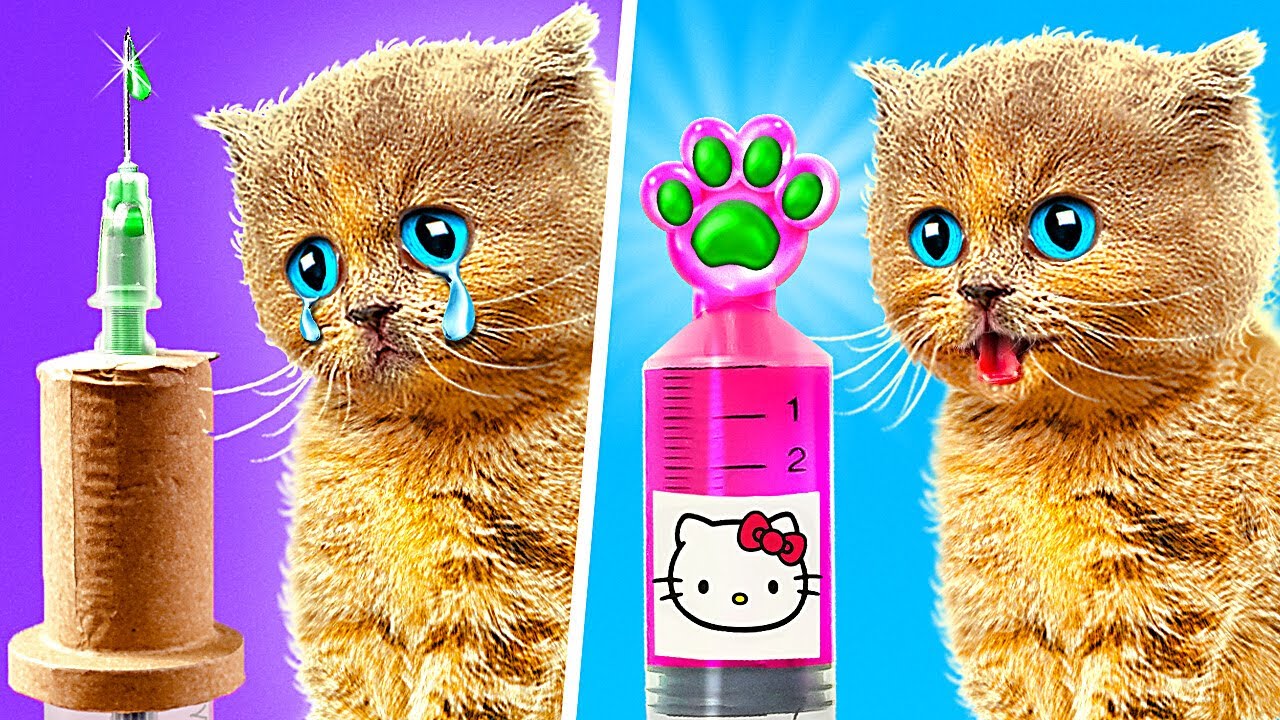 SAVE THESE TINY CATS 😿 Smart Gadgets and Hacks for Pet Owners by 123 GO ...