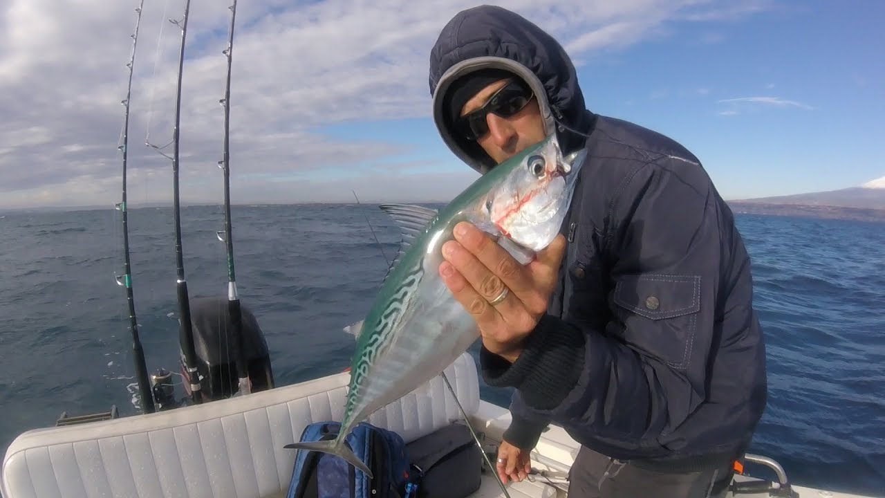 Pesca in inverno a traina costiera - tonnetto alletterato - YouTube