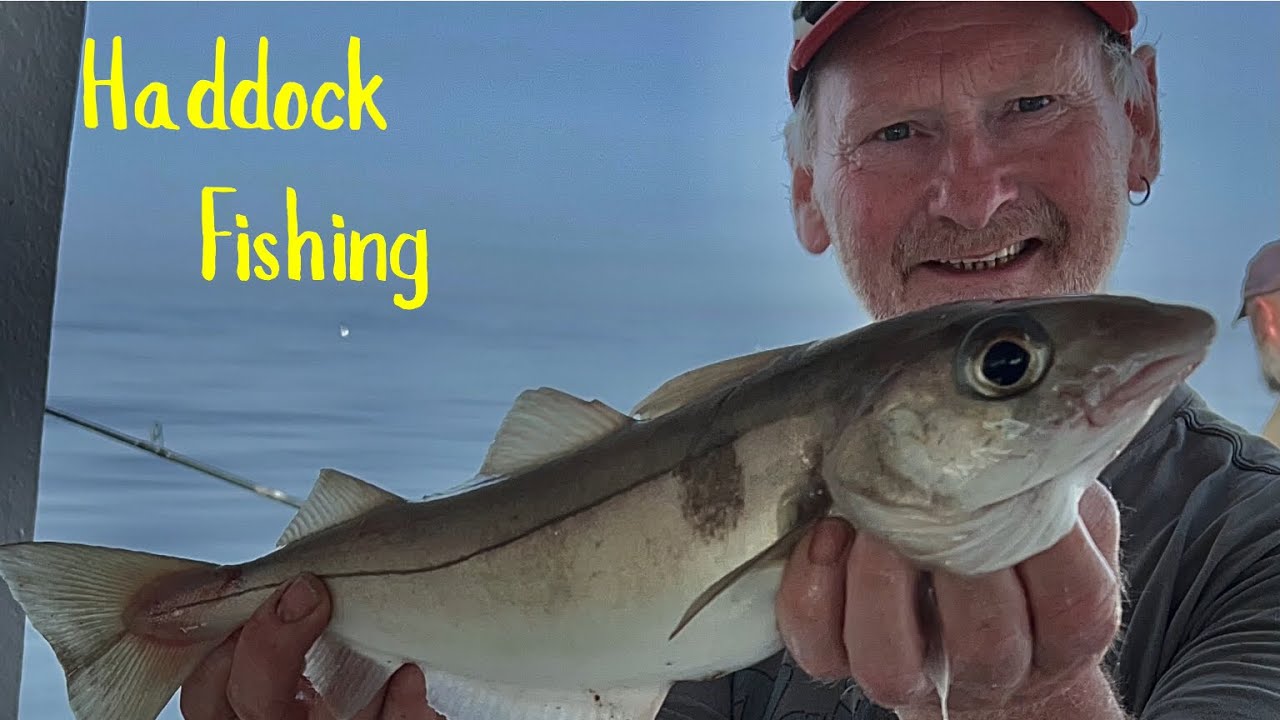 Hunting for Haddock, Fishing charter skipper part 6 - YouTube