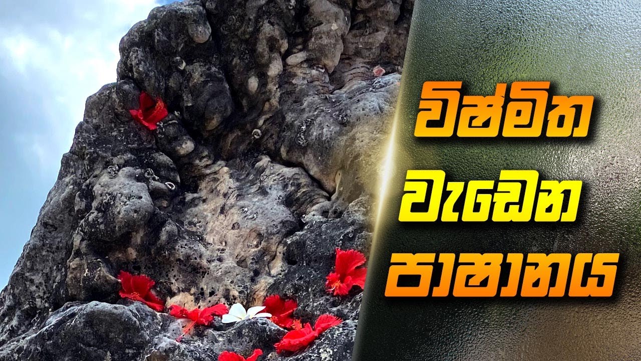 විෂ්මිත වැඩෙන පාෂානය | Growing Stone Delft | Growing Rock - YouTube