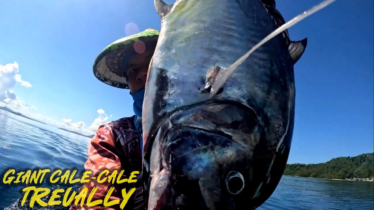 DAY FISHING🎣| EP.21 | CALE CALE TREVALLY & GIANT TREVALLY HUNTING ...