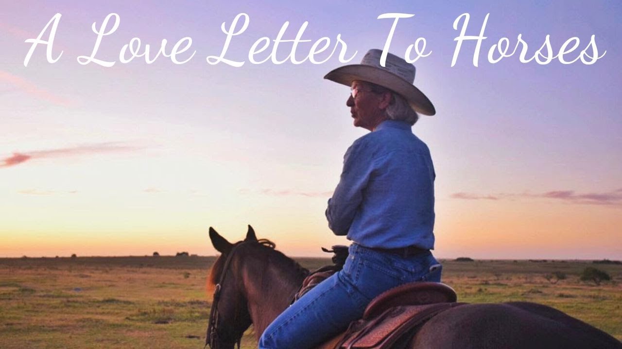 A Love Letter To Horses - Terry Stuart Forst - YouTube