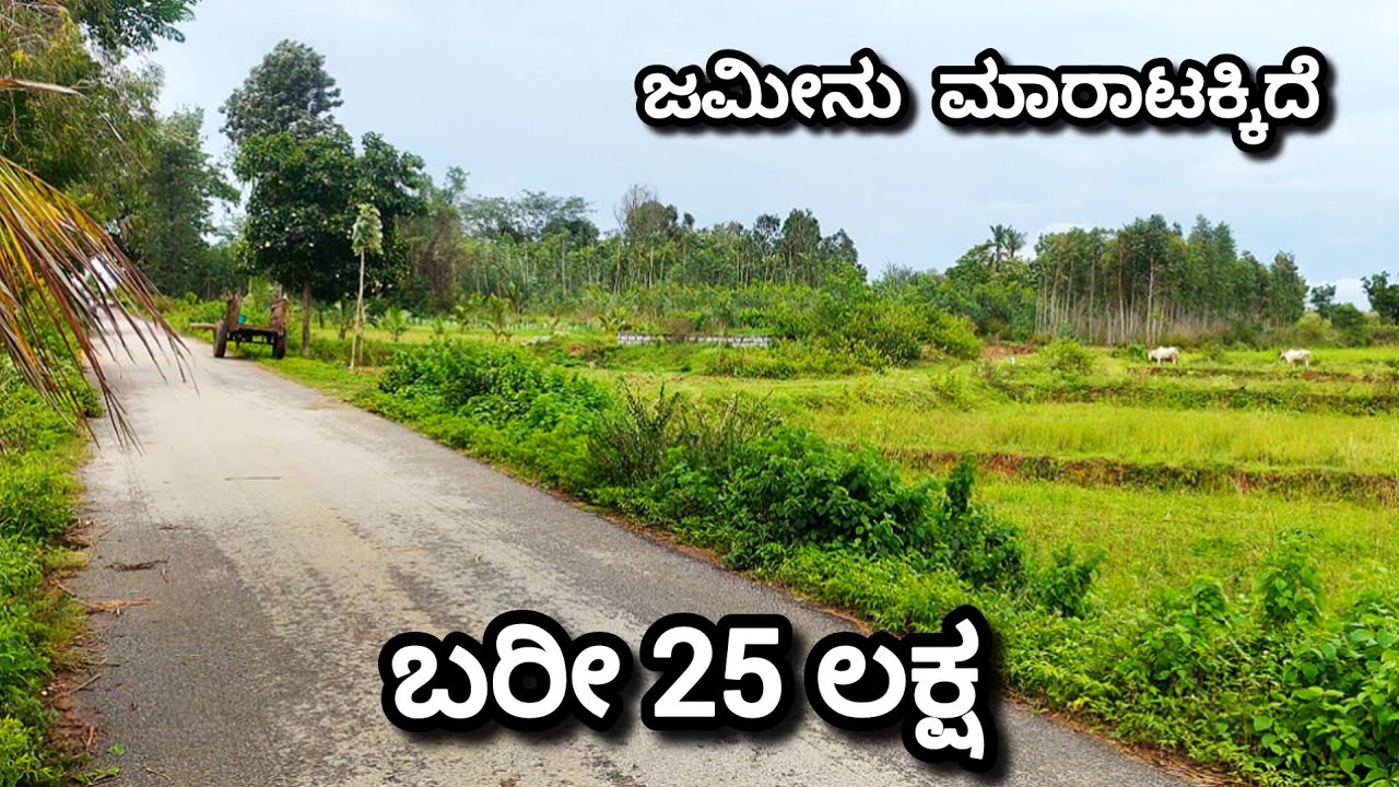 JUST 25 LAKH FROM 17 GUNTA SALE IN MADDUR TALUK MANDYA DISTRICT NEAR ...
