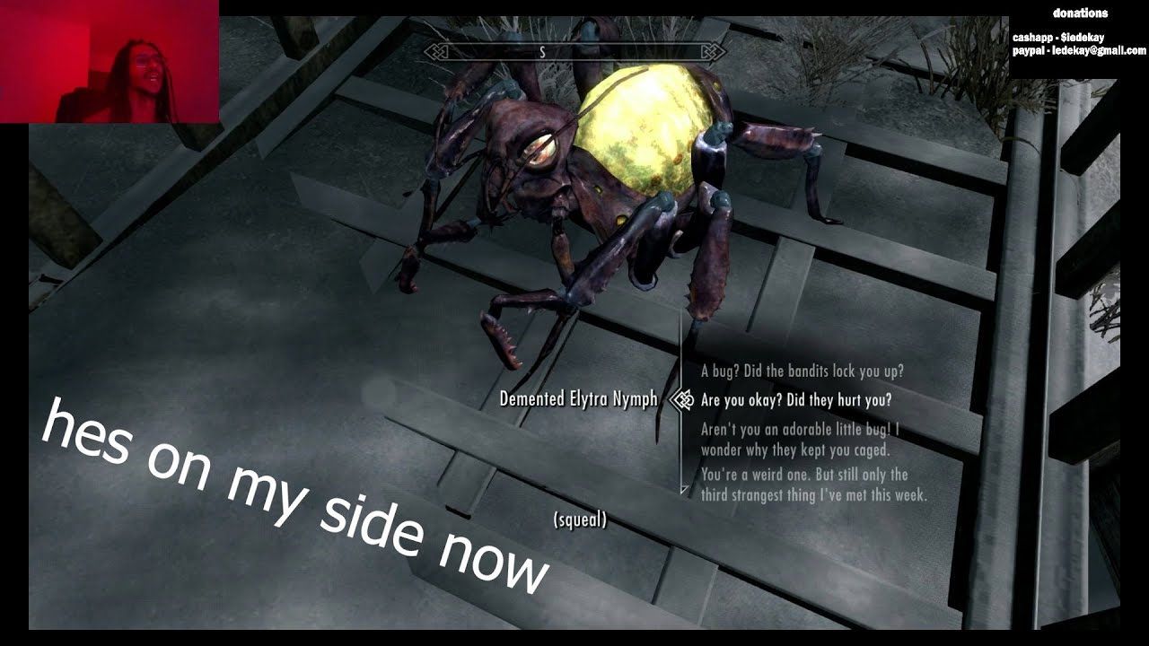freeing the Elytra Nymph (Skyrim) - YouTube