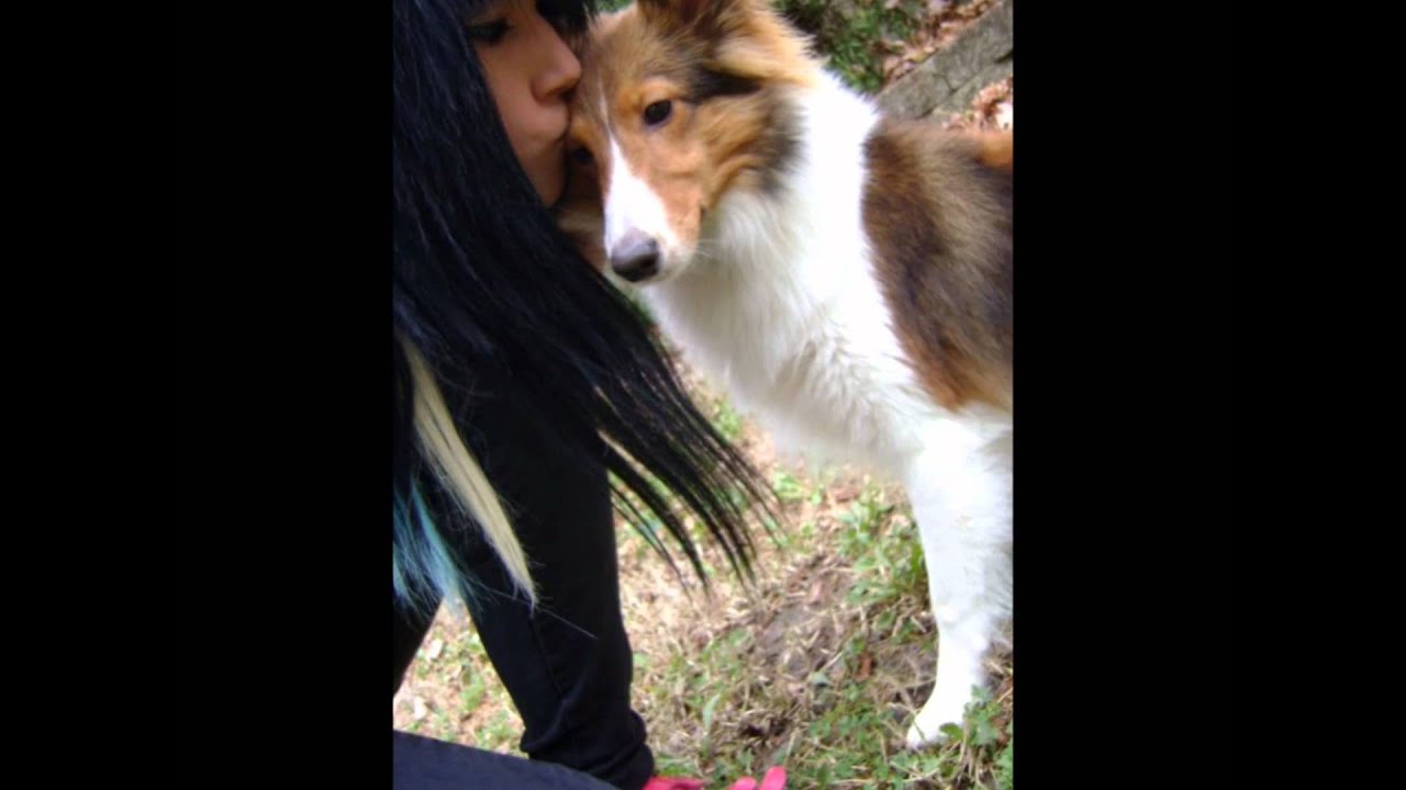 Shannon Shortcake....Prestented by Vanitycoredolls - YouTube