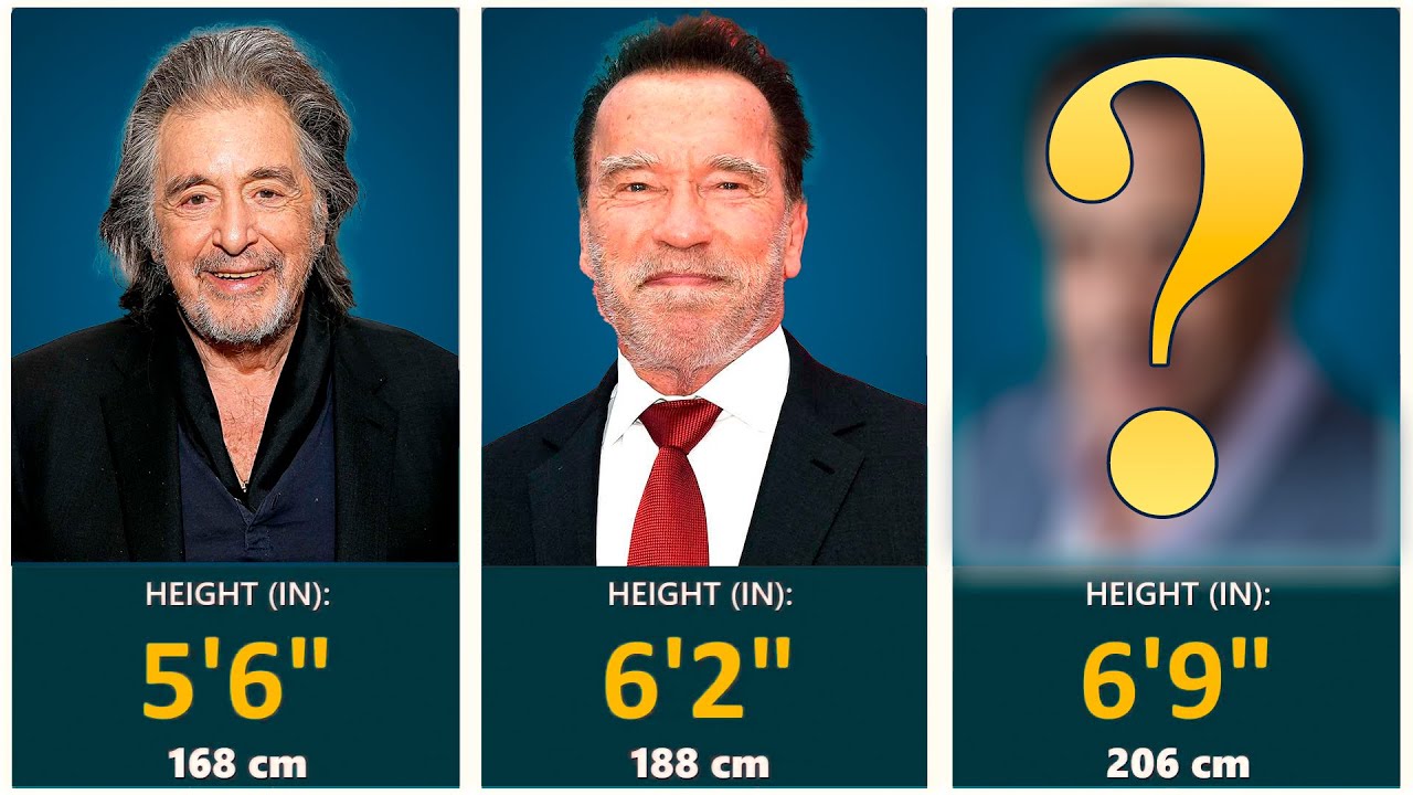 Height Comparison of Popular Hollywood actors - YouTube