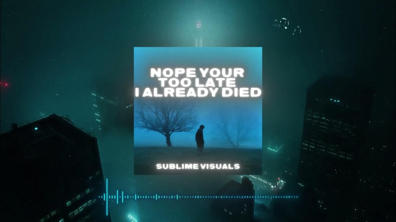 Nope your too late i already died - wifiskeleton (Slowed to PERFECTION) TikTok Remix - YouTube