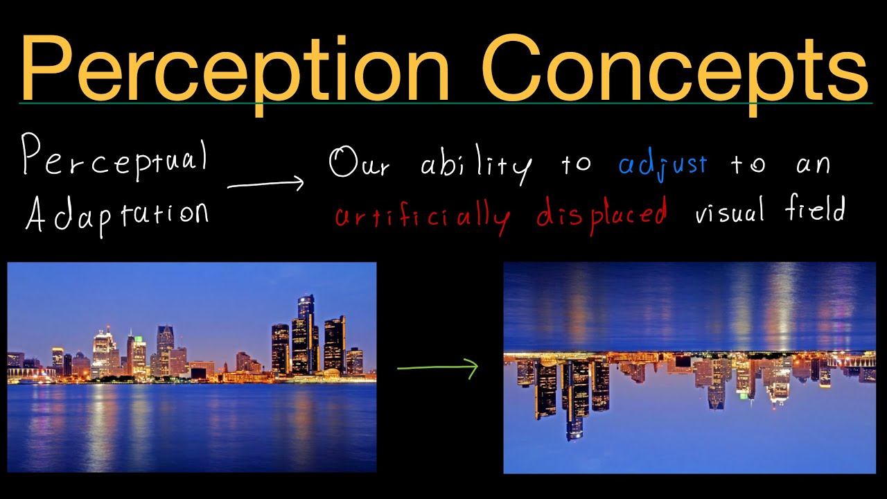 Perception Concepts - YouTube