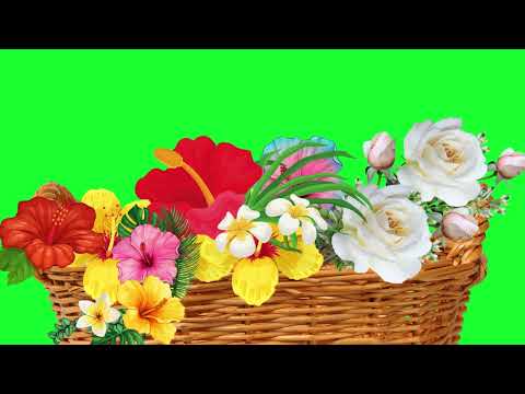 Basket of flowers on green screen