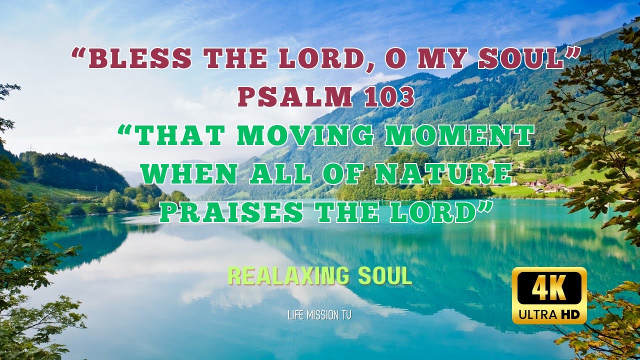 Nature Praises God | 15-Minutes Meditation, Healing & Worship / Psalm ...