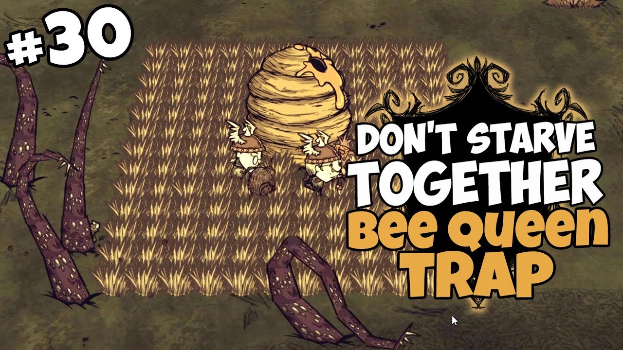 Making a Bee Queen Trap - Don't Starve Together Gameplay - Part 30 ...