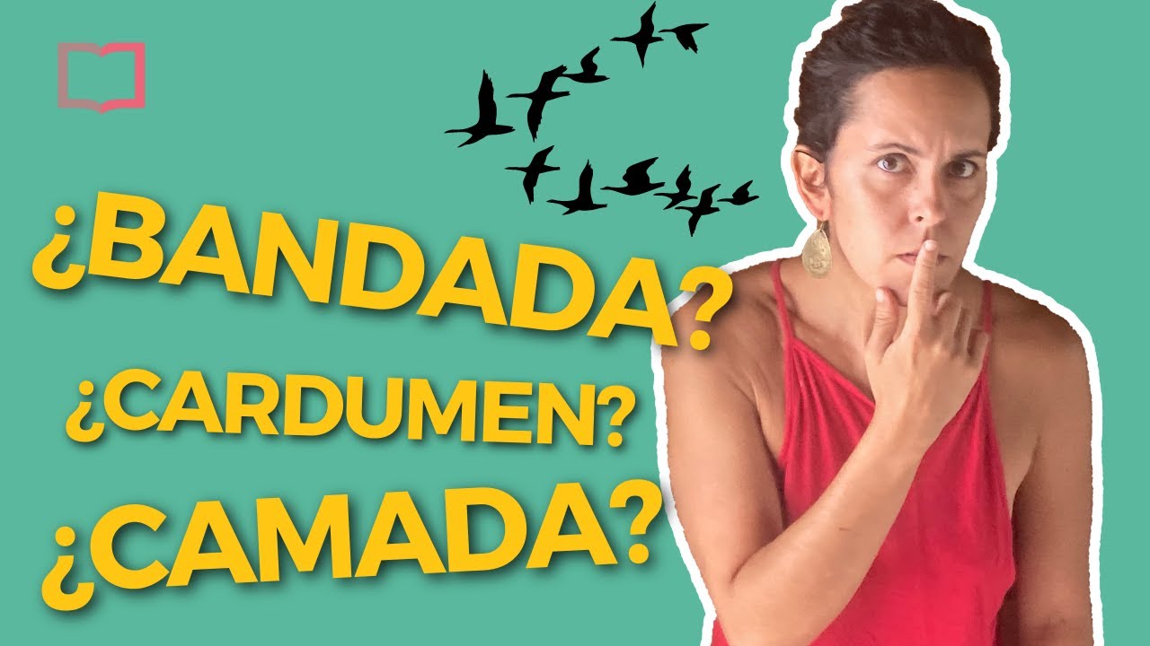 Animals In Spanish Collective Nouns Explained Intermediate Level animals-in-spanish-collective-nouns-explained-intermediate-level