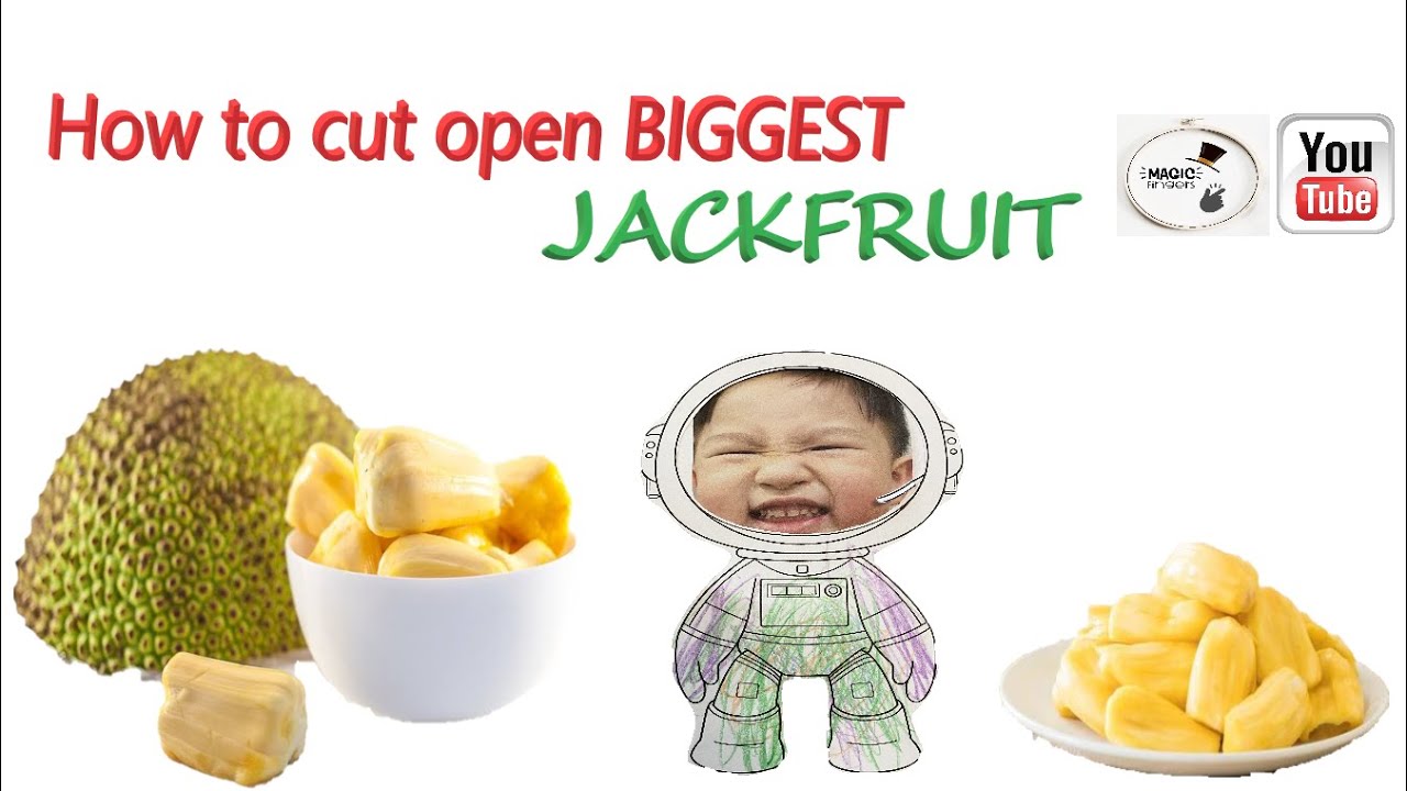 It's a Jackfruit day! How to cut open a Jackfruit! | Tons of ...