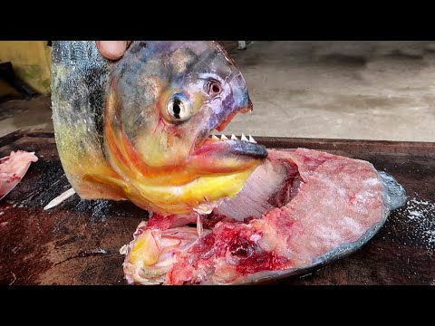 Einen Killerfisch essen - Amazon Jungle Catch & Cook