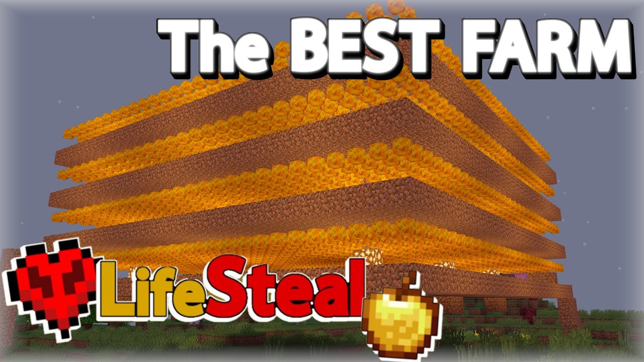 How to make the Best Farm in PikaNetwork Lifesteal - YouTube