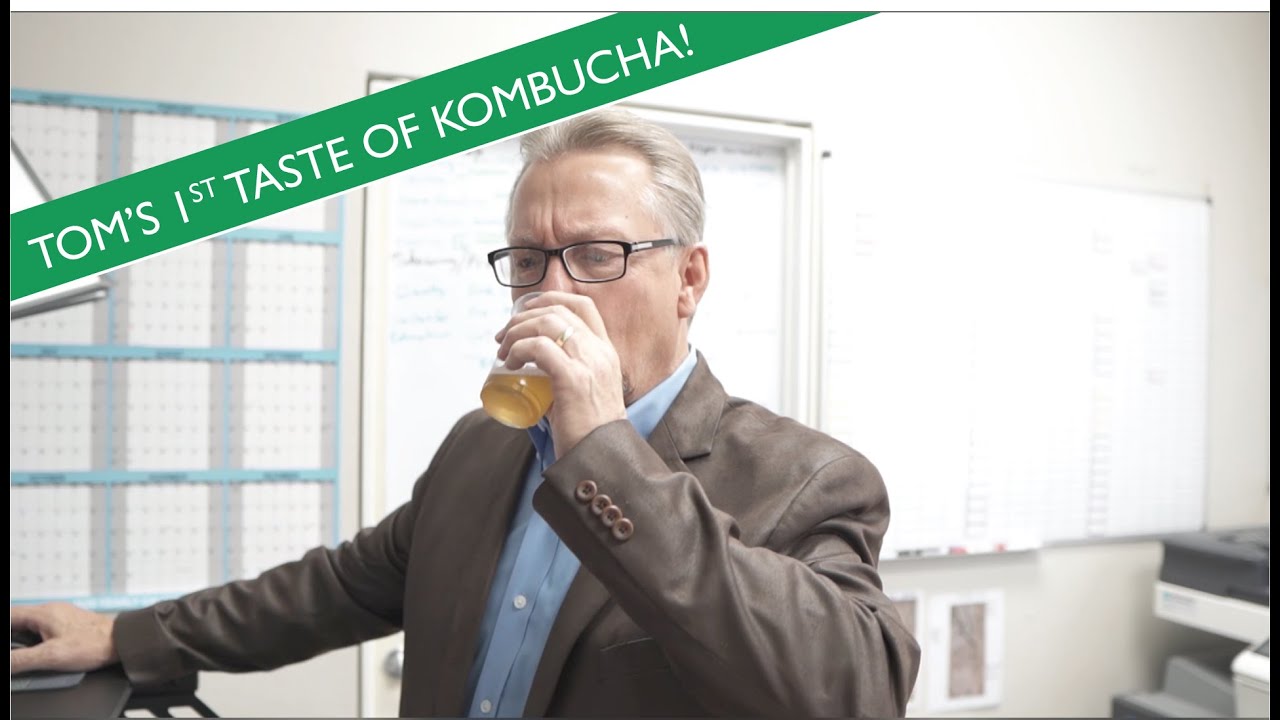 Kombucha taste test! National Booch Day ...some of our team's first ...