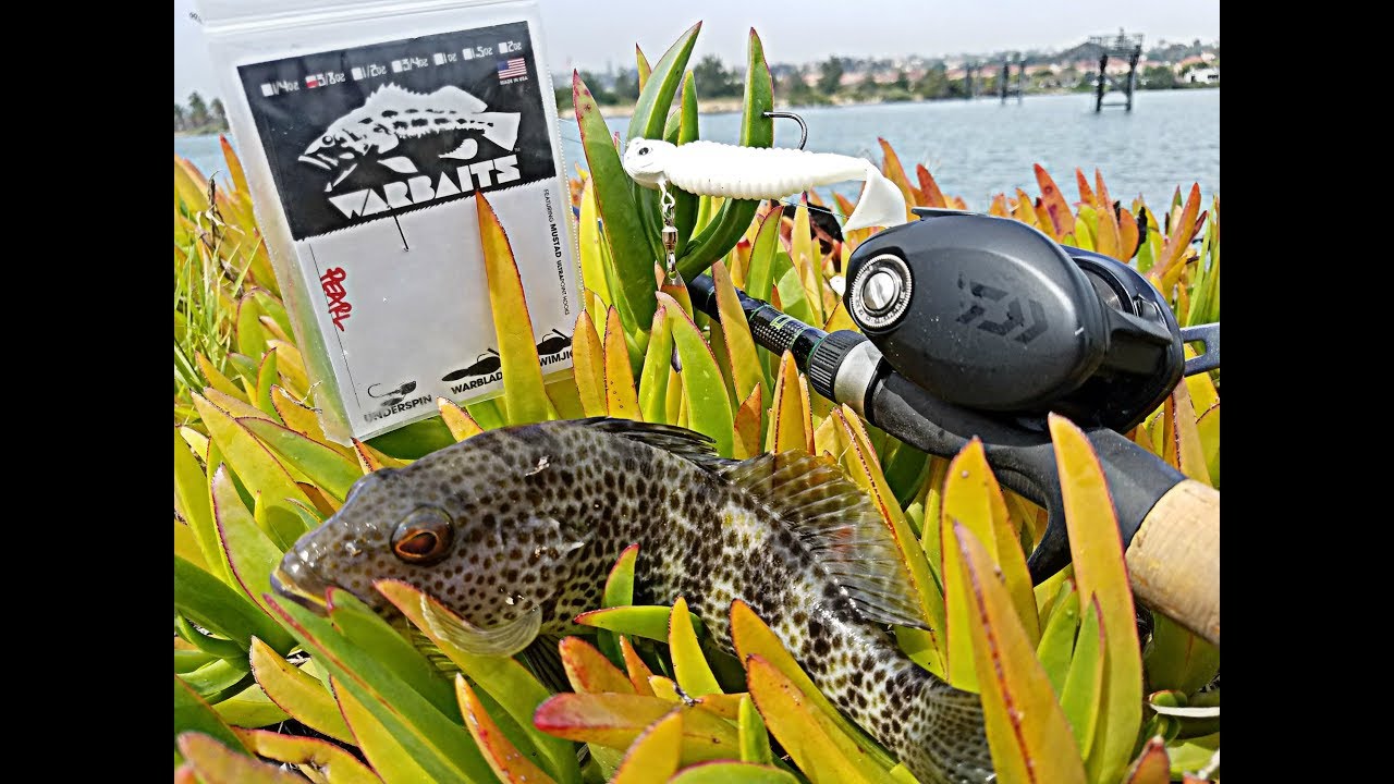Spotted Bay Bass Lures