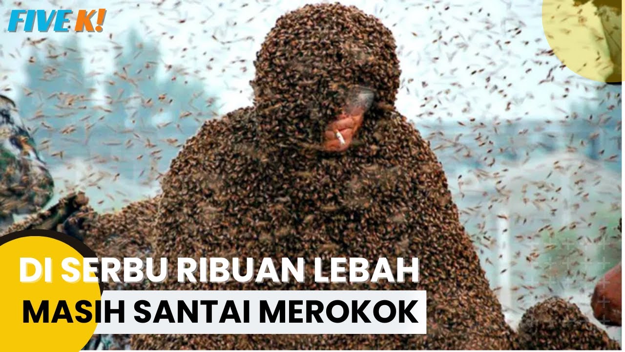 15 REKOR DUNIA UNIK SEPANJANG SEJARAH - YouTube