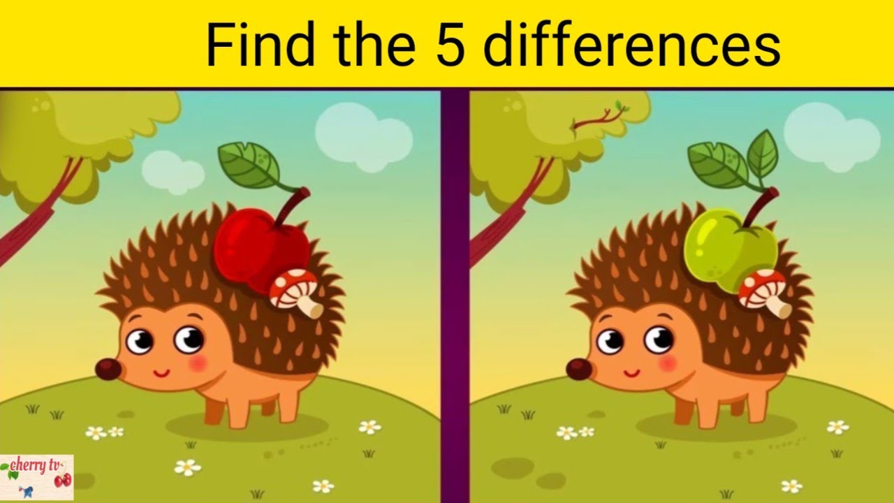 find the 5 differences | find the 5 differences between two pictures ...