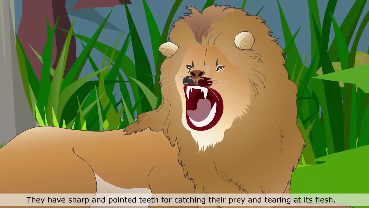 PEARLS CLASS 4 SCIENCE CHAPTER 9 - YouTube