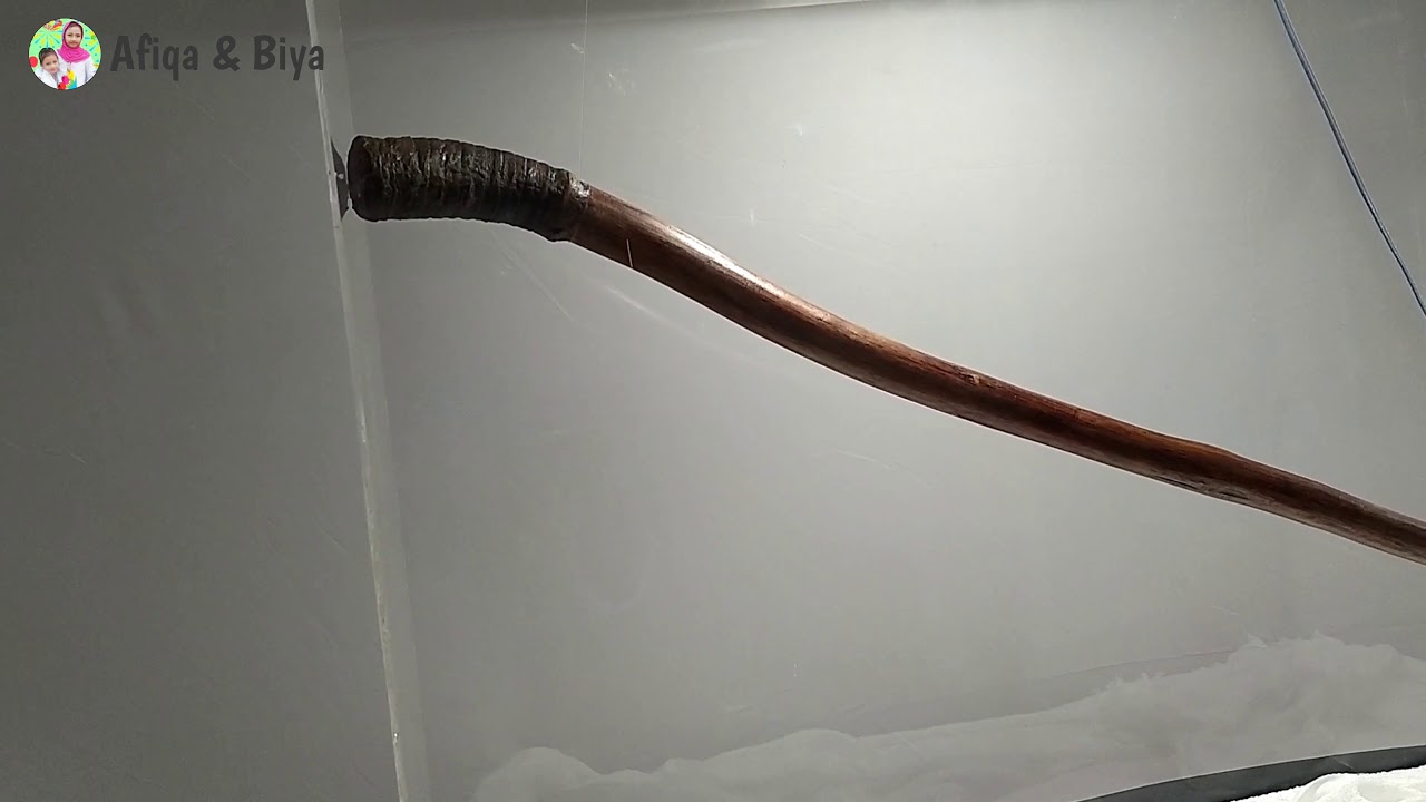 Tongkat Nabi Muhammad