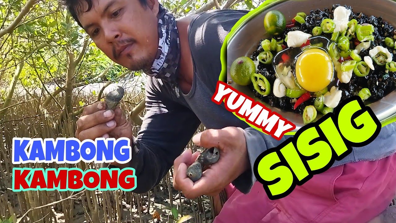 EP66 KAMBONG-KAMBONG/SNAIL FORAGE AND COOK|OCC.MINDORO - YouTube