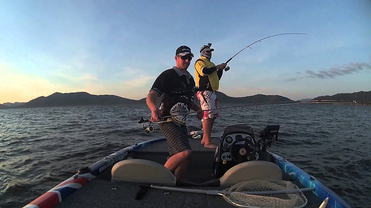Zerek Barra - Peter Faust Dam - Proserpine QLD. - YouTube