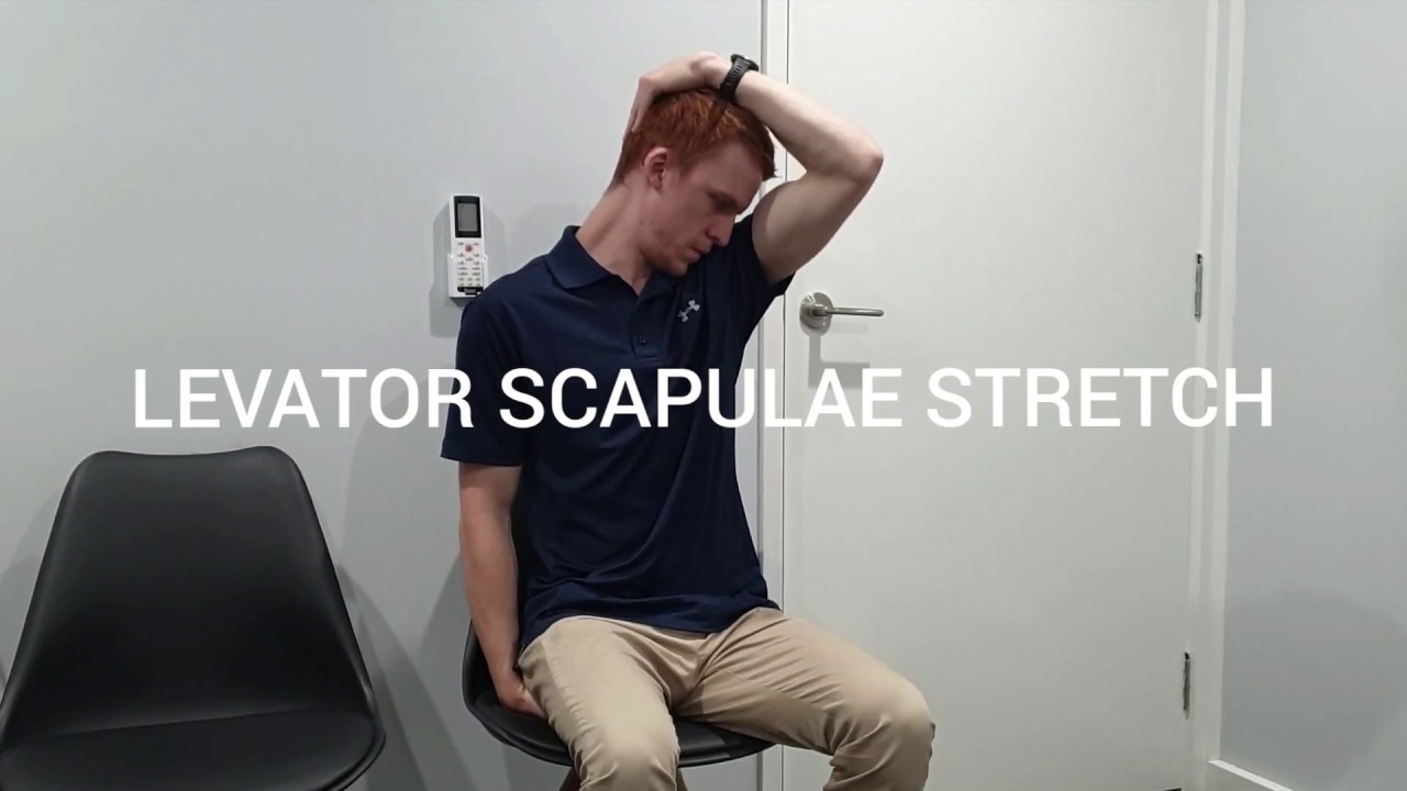 Neck Stretches (Upper Trapezius & Levator Scapulae) - YouTube