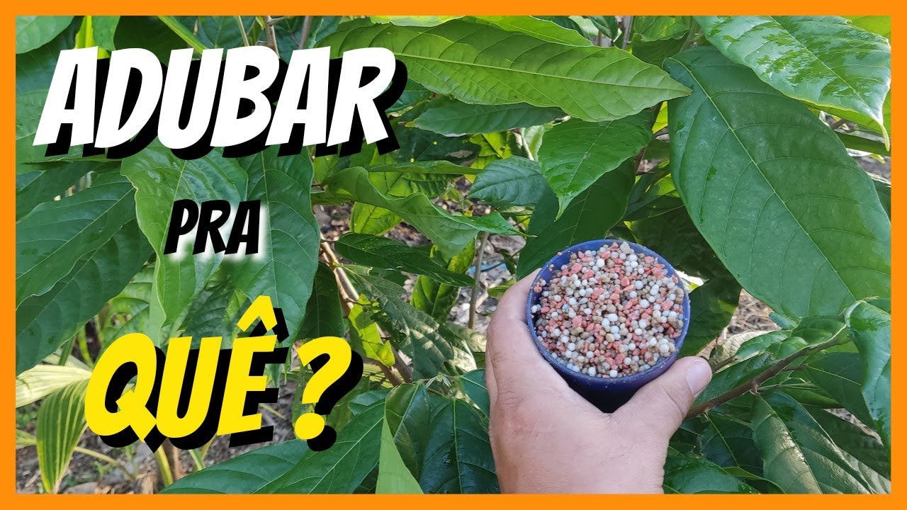 PORQUE ADUBAR COM FREQUÊNCIA? - YouTube