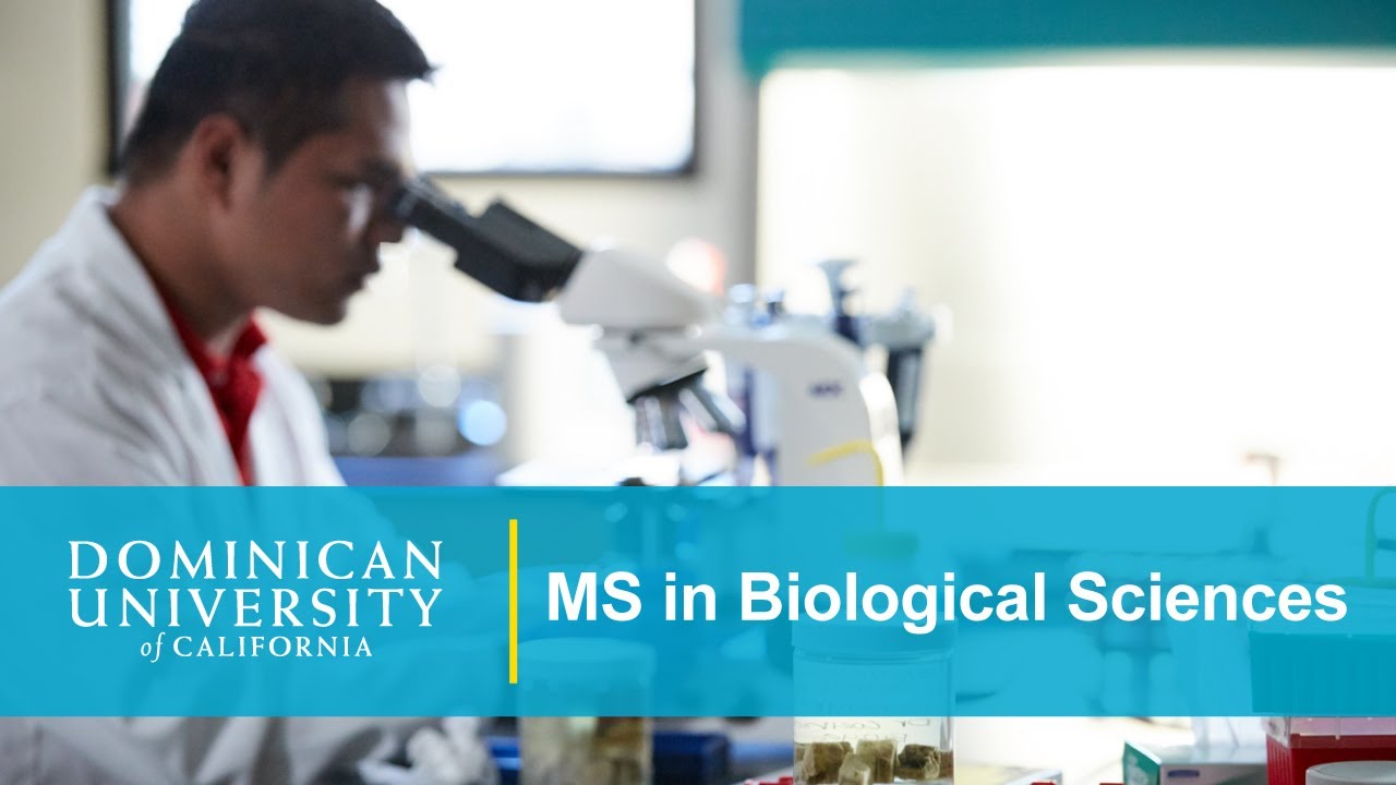 MS in Biological Sciences: All About the Program - YouTube