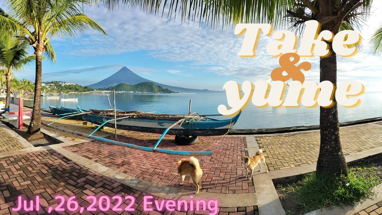 Jul,26,2022 evening Take & Yume - YouTube
