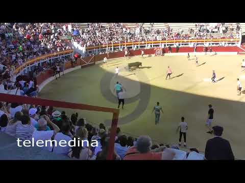 Cogida en la suelta del Toro de la Feria 2025