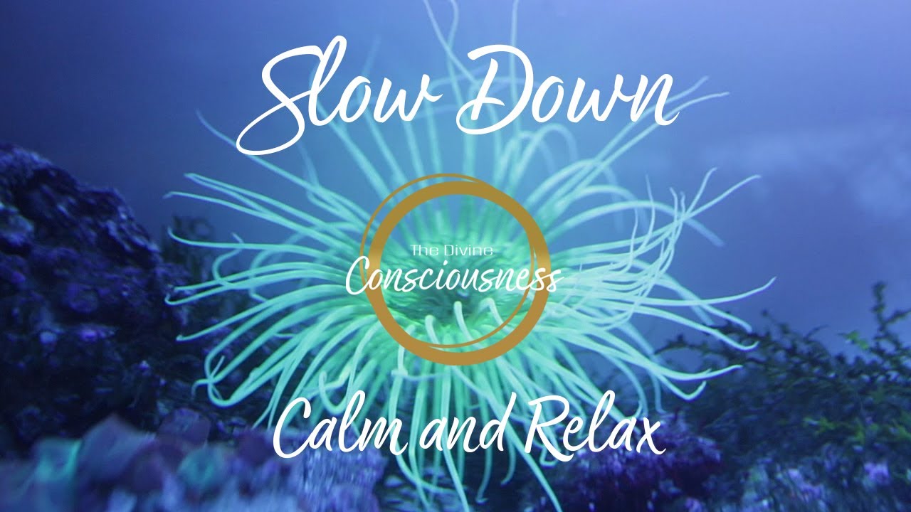 Slow Down An Overactive Mind | Calm Down And Relax | Work | Study ...