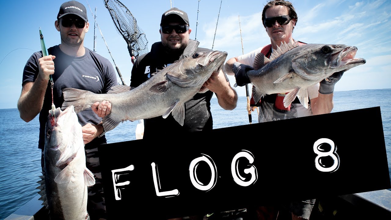 Flog 8 // Cook Strait Hapuka - YouTube
