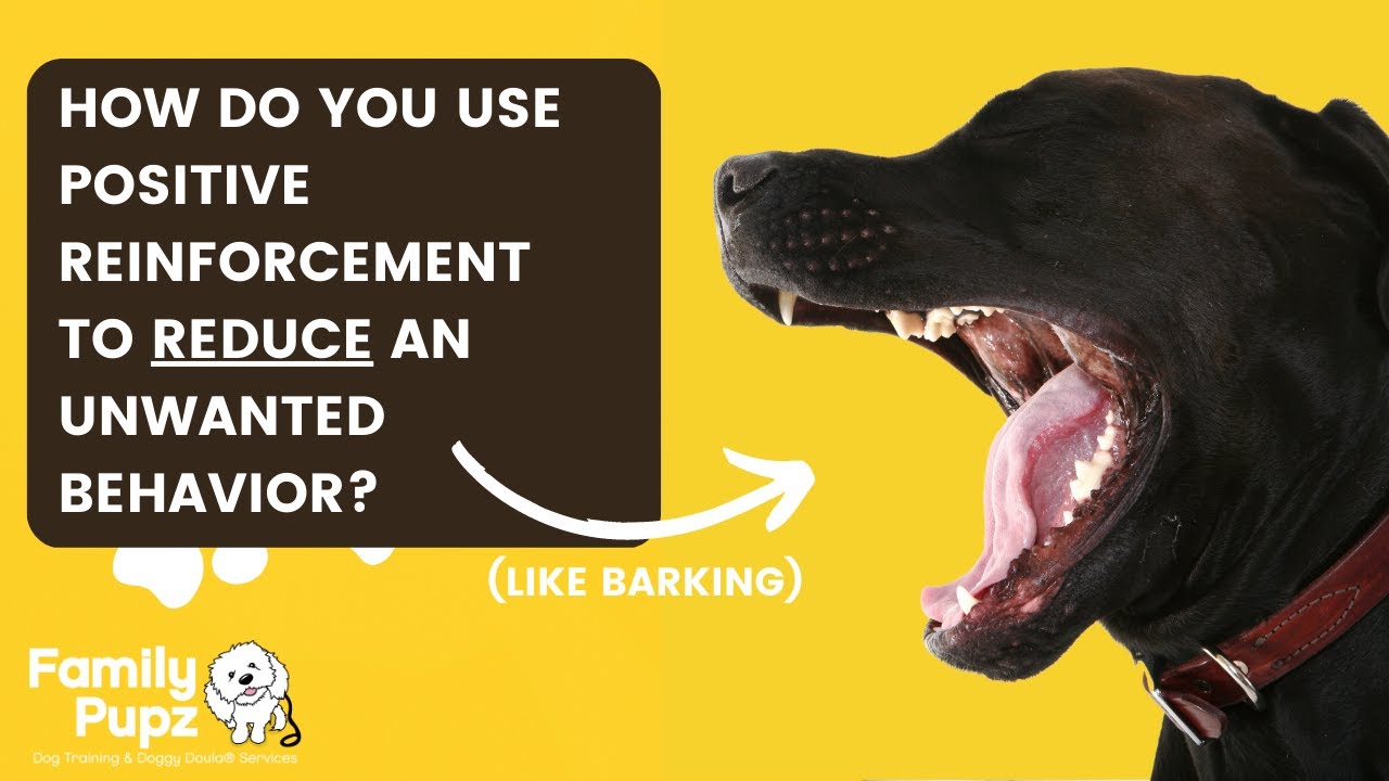 How Do You Use Positive Reinforcement To REDUCE An Unwanted Behavior ...