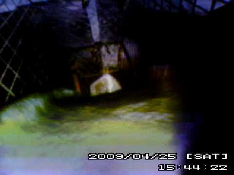 Mini Rider 2 (미니라이더 탑승 영상) - YouTube