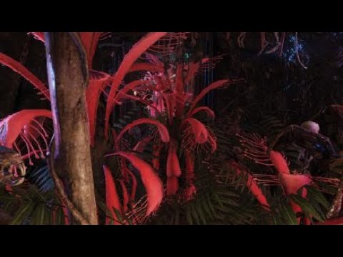 Fallout 76 Epic Cave Base - YouTube