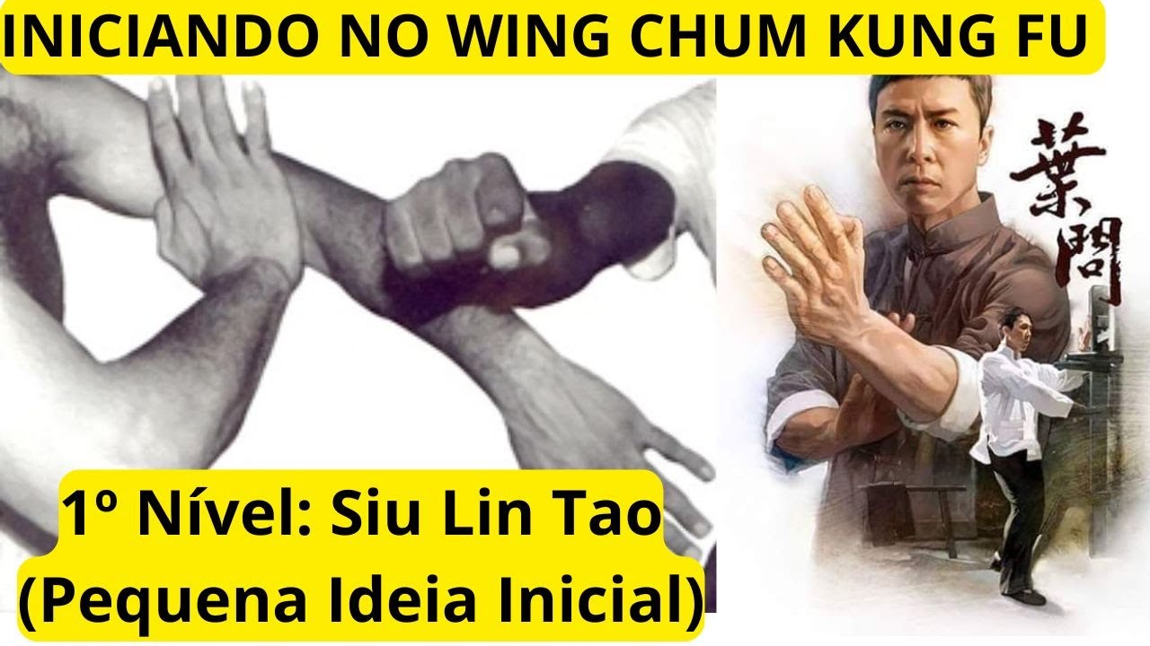 INICIANDO NO WUNF CHUN 1º Nível: Siu Lin Tao (Pequena Ideia Inicial ...