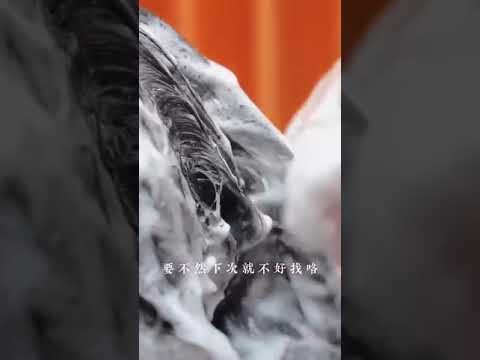 Hair cleaning ASMR #japan #massage #relax #spamassage #traditionalmassage #japanesemassage#hot#japan