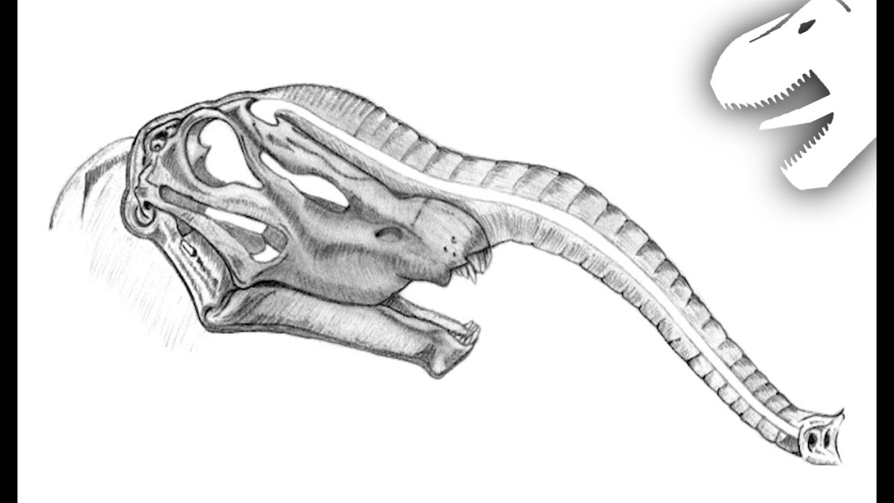 Exploring the Theory of Trunked Sauropods | Dinosaur Of The Month - YouTube