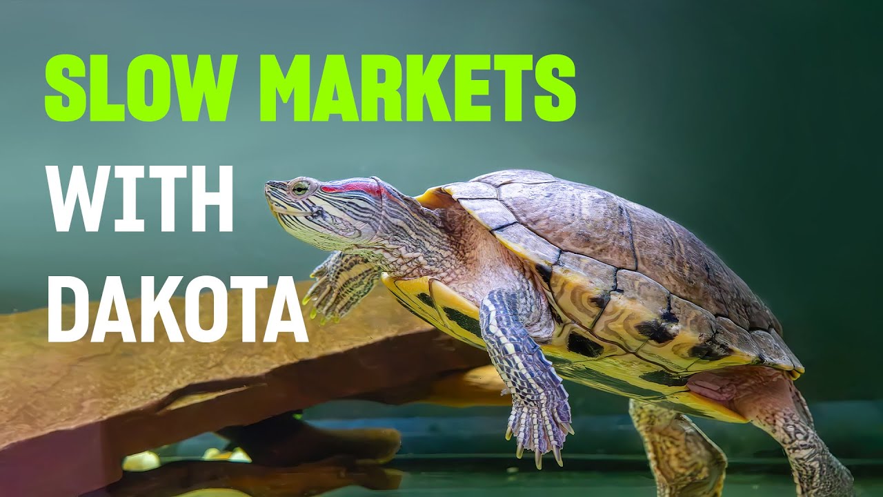 LIVE: Slow Markets With Coach Dakota (2/21/2024) - YouTube