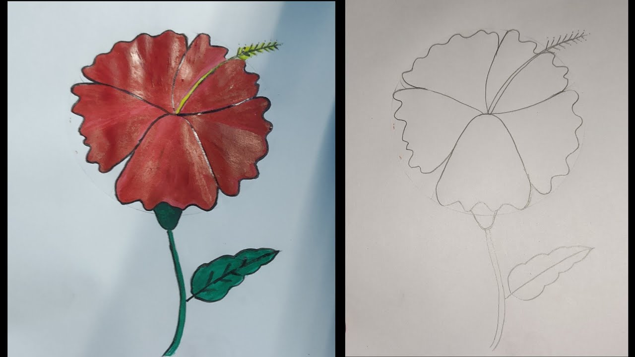 How to Draw Hibiscus Flower 🌺🌺 || joba ful akha🌺🌺 || Hibiscus Flower ...